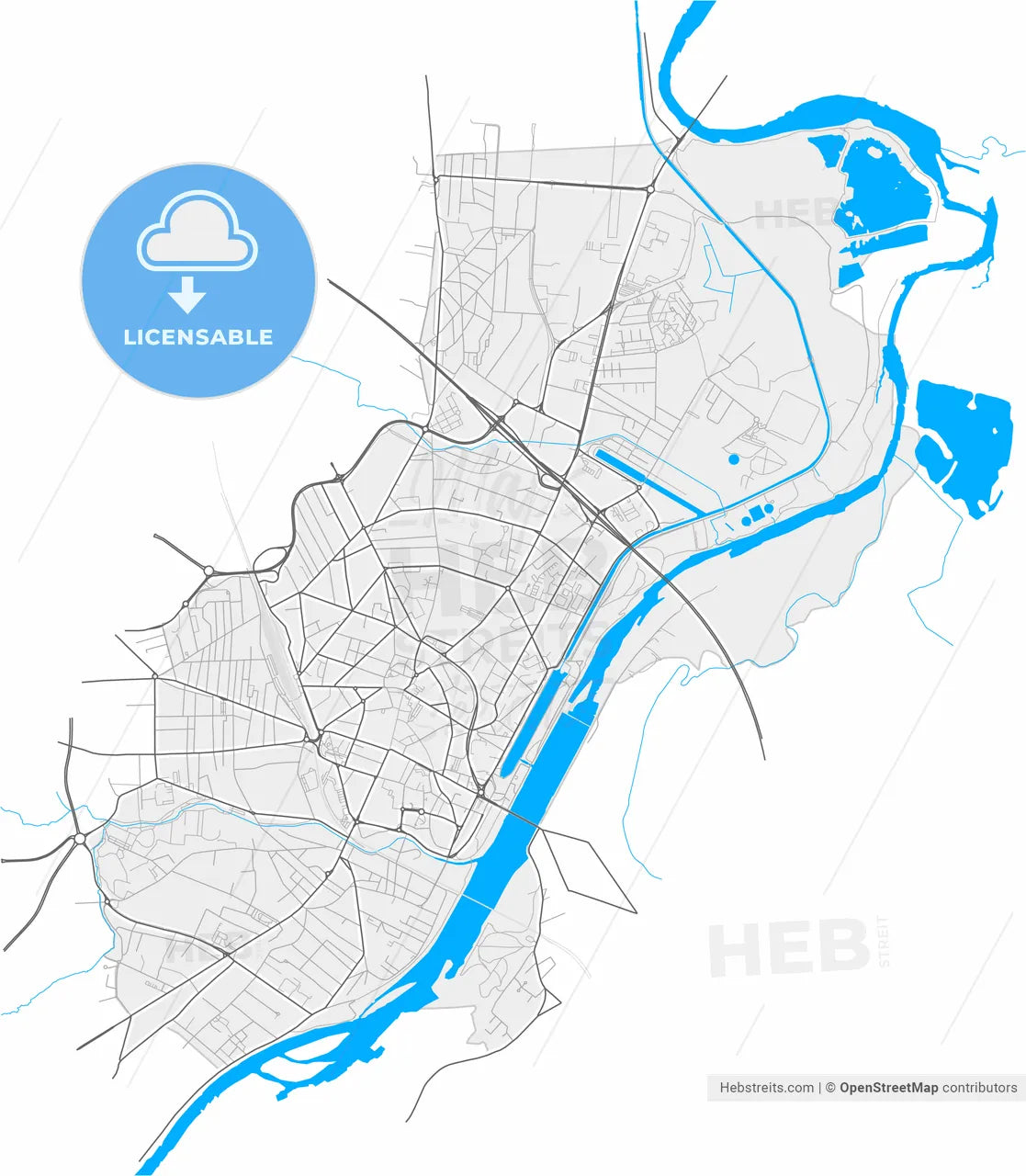 Roanne, Loire, France, High Resolution Vector Map - Instant Download ...