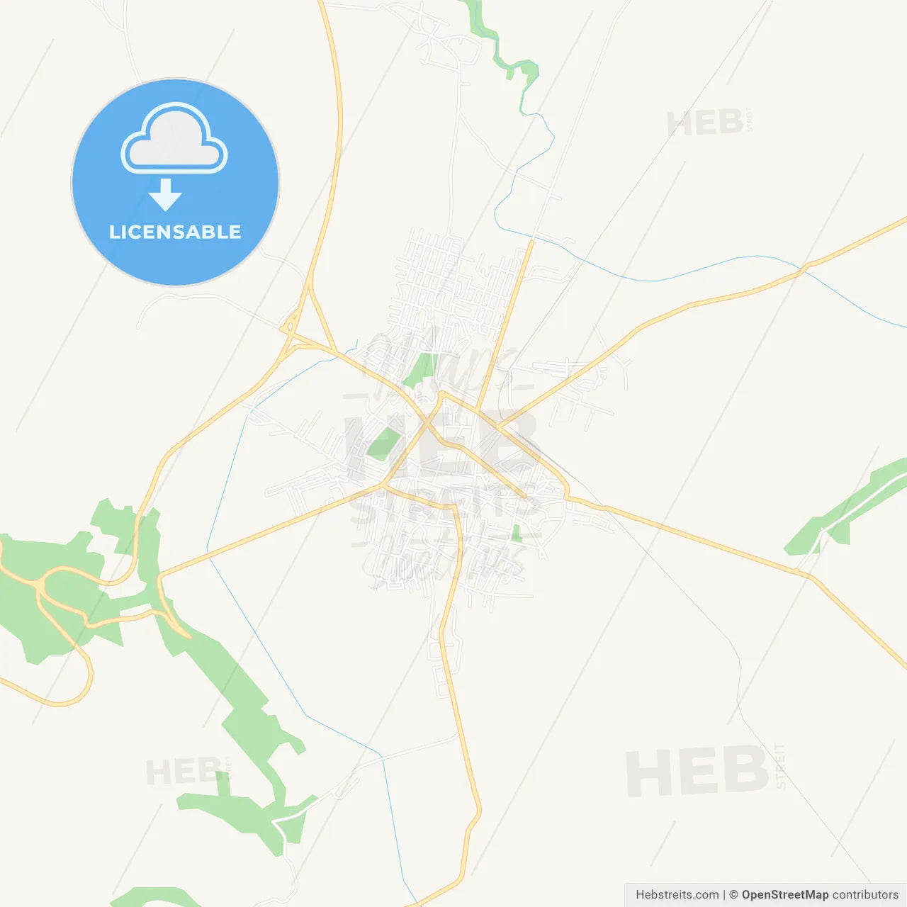 Negotin, Serbia Vector Map - Classic Colors – HEBSTREITS