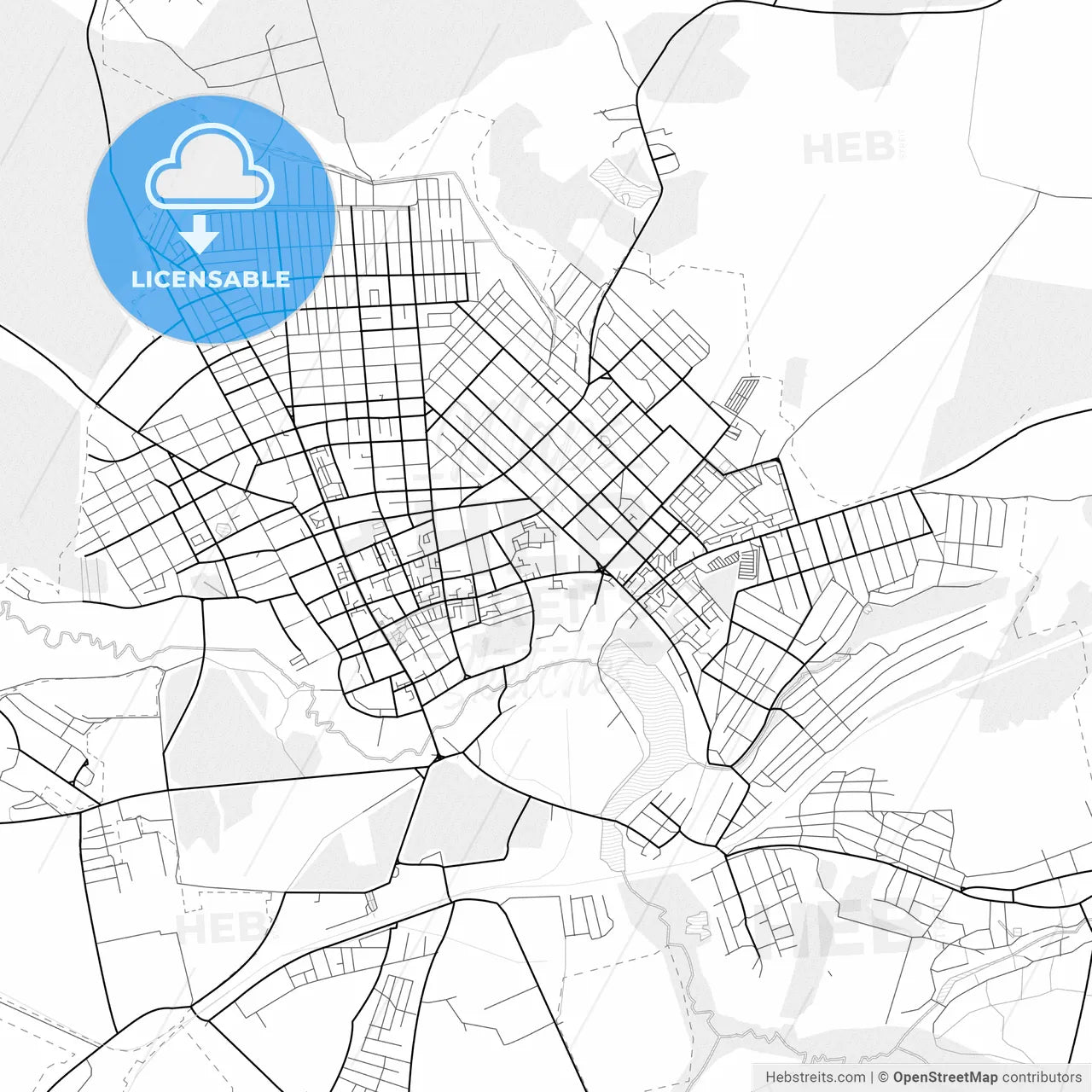 Vector Pdf Map Of Klintsy, Russia – HEBSTREITS