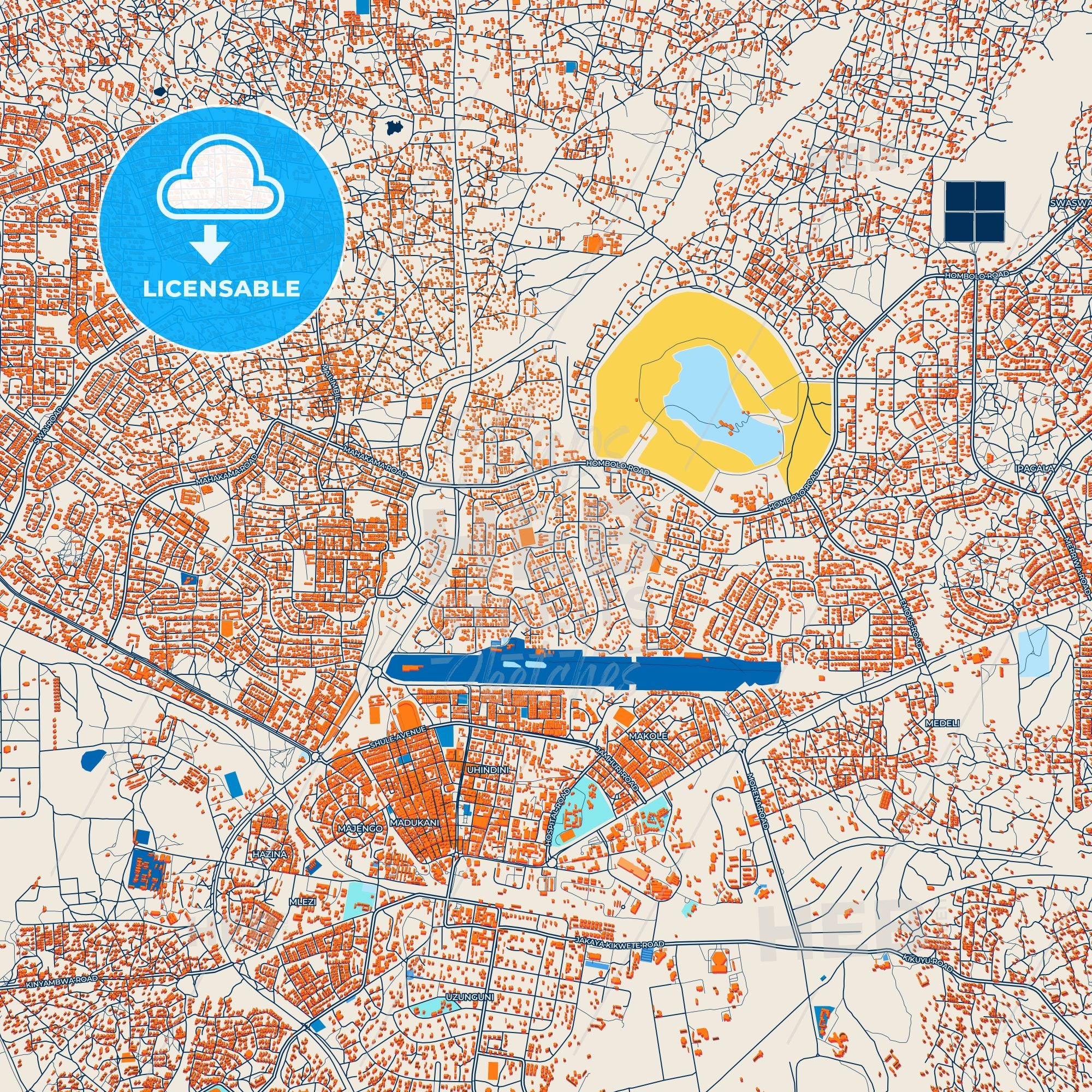 Colorful Dodoma Street Map With Labels And Buildings – HEBSTREITS